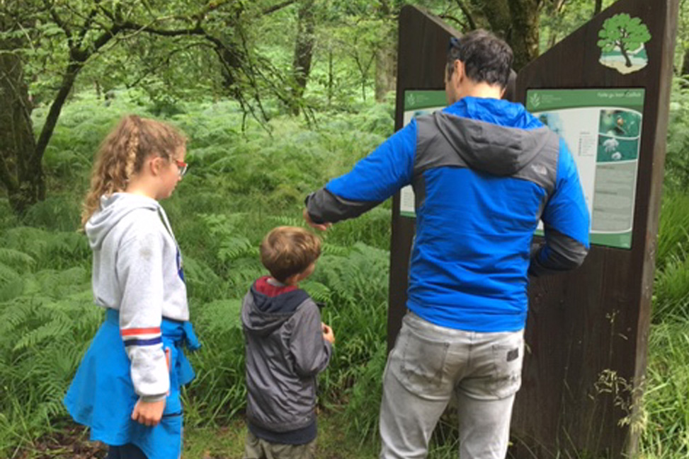 Island Explorer - Cruise Loch Lomond